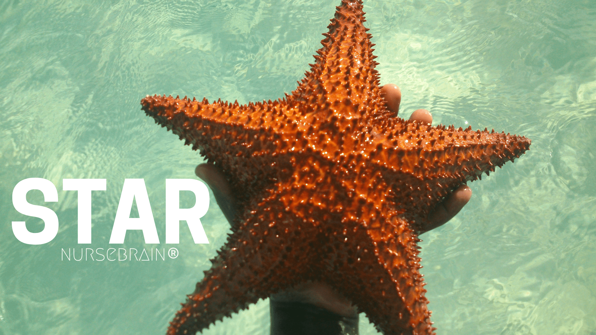 Stop, Think, Act & Review to Reduce Medical Errors | NurseBrain®